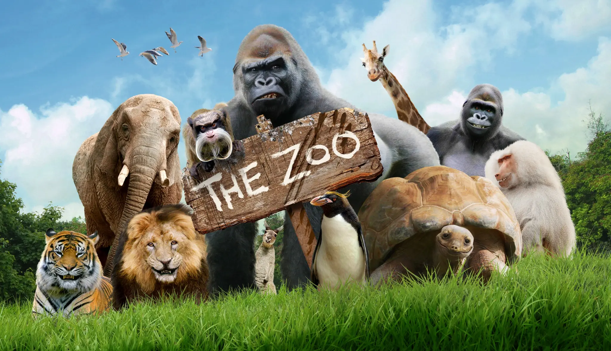 Art Of Zoo